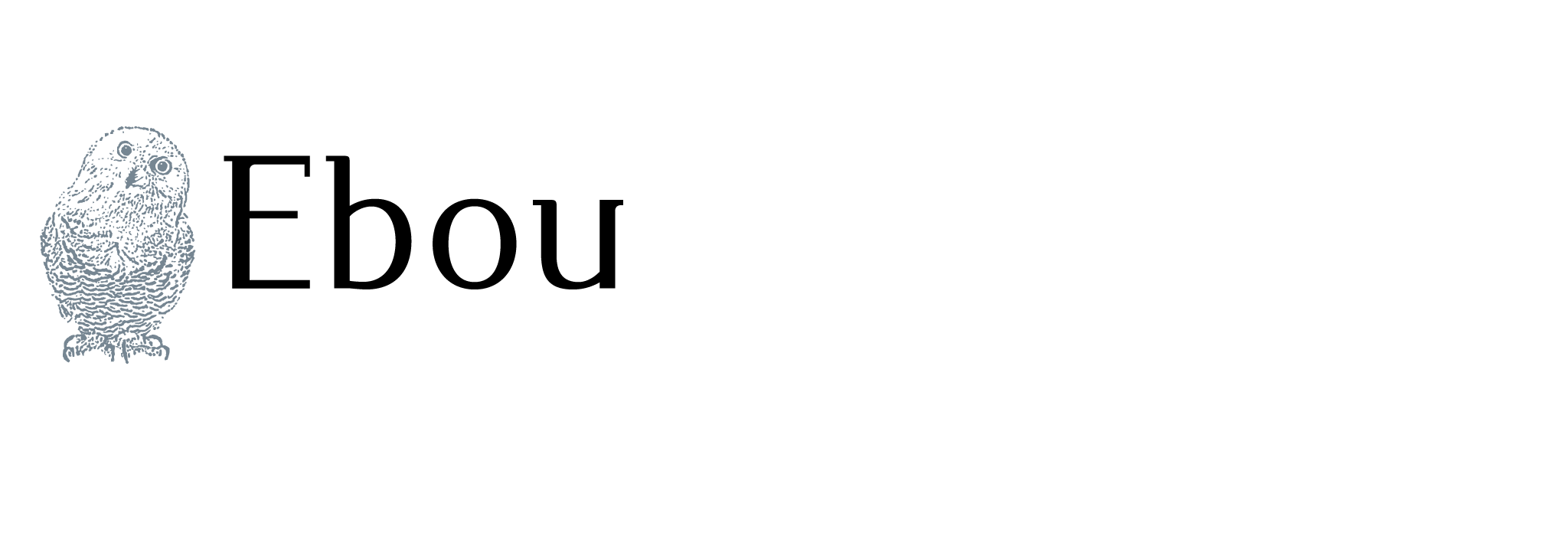 Ebou Consulting : Finding the Future